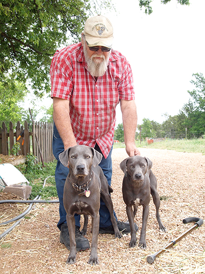 Texas' official breed: Versatile Lacy dog was developed in Burnet County
