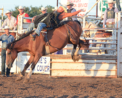 Wild rides at the Marble Falls Open/Pro Rodeo