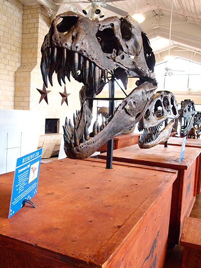 'Dinosaur George' gives Marble Falls residents prehistoric lesson