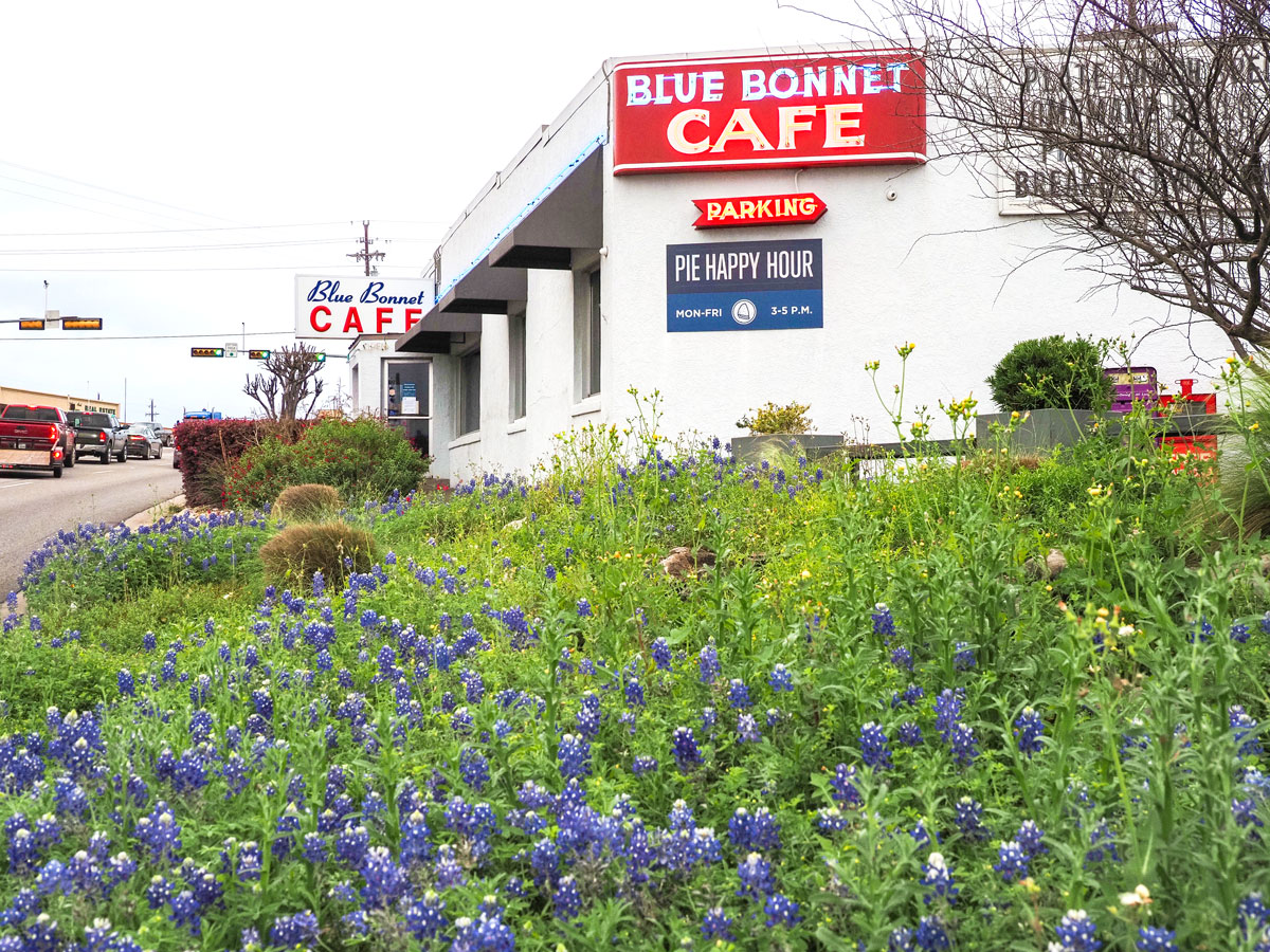 EMS fish fry fundraiser March 1 at Blue Bonnet Cafe - DailyTrib.com
