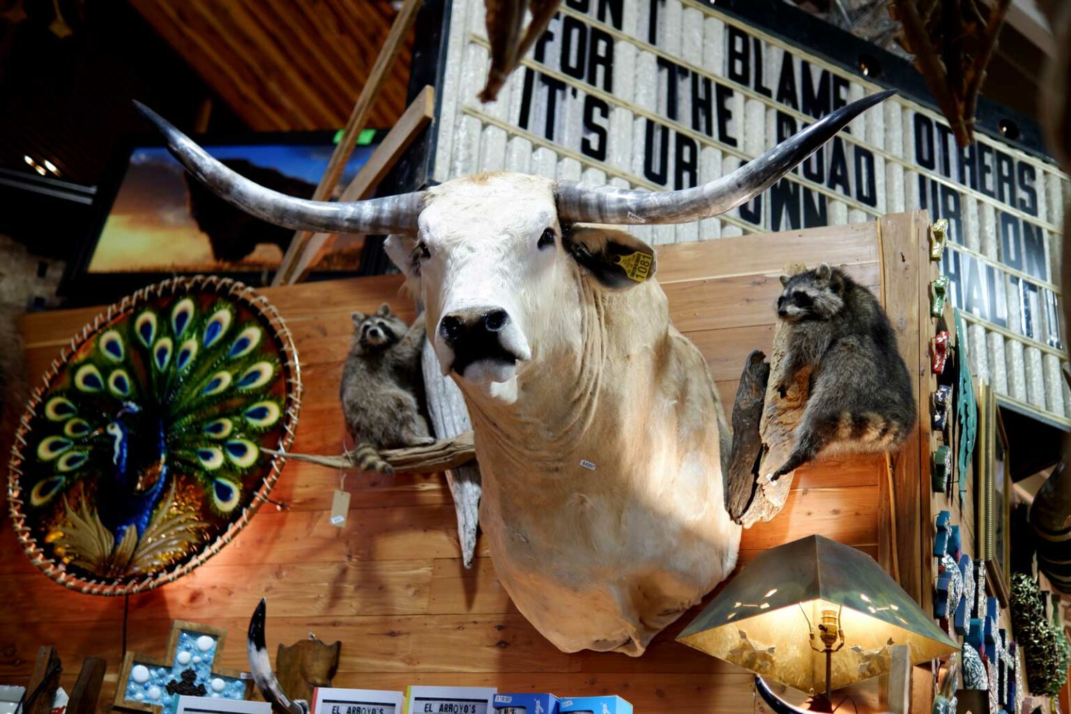 Marble Falls Gallery - The Pottery Ranch